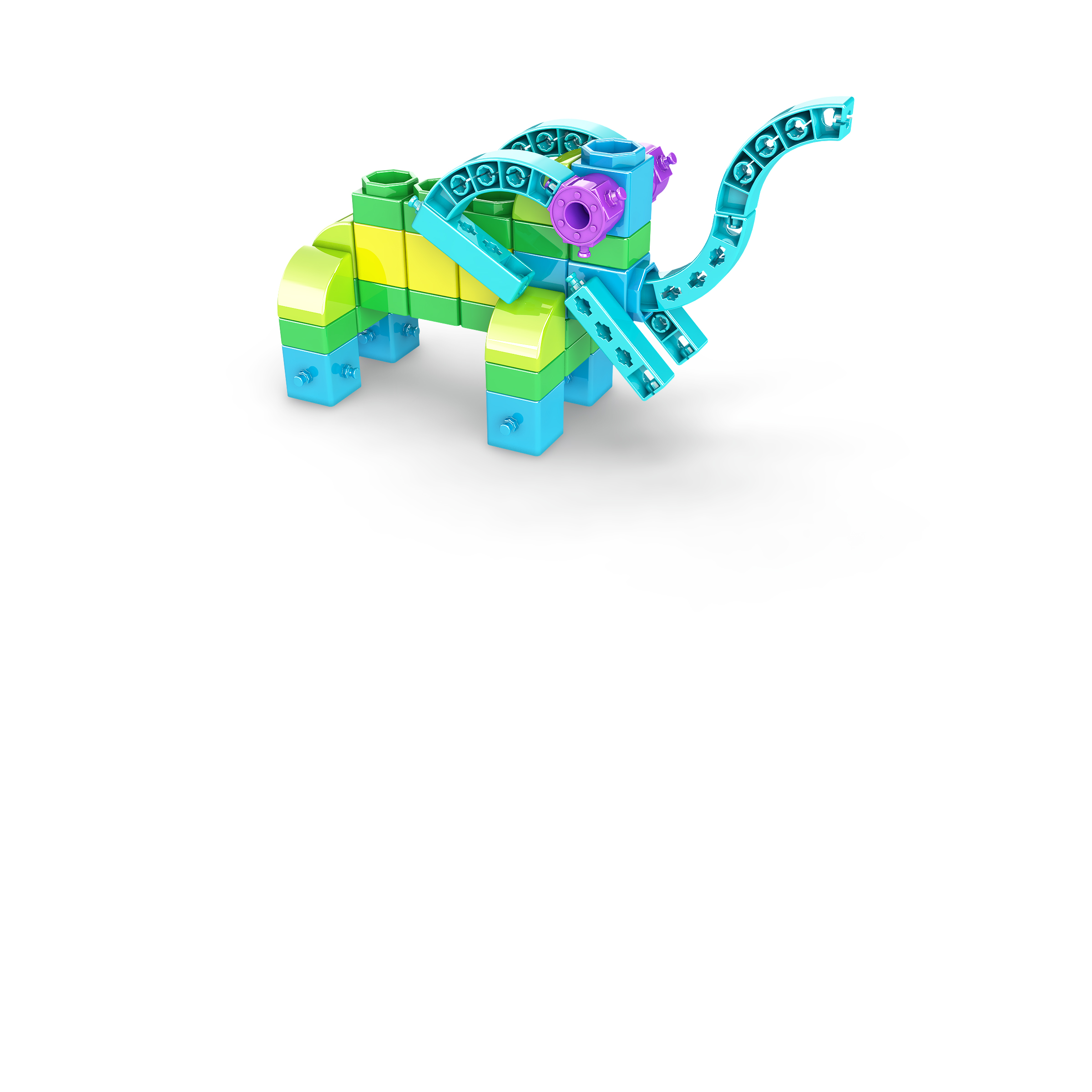 Learning About Wild Animals | Coding Clever